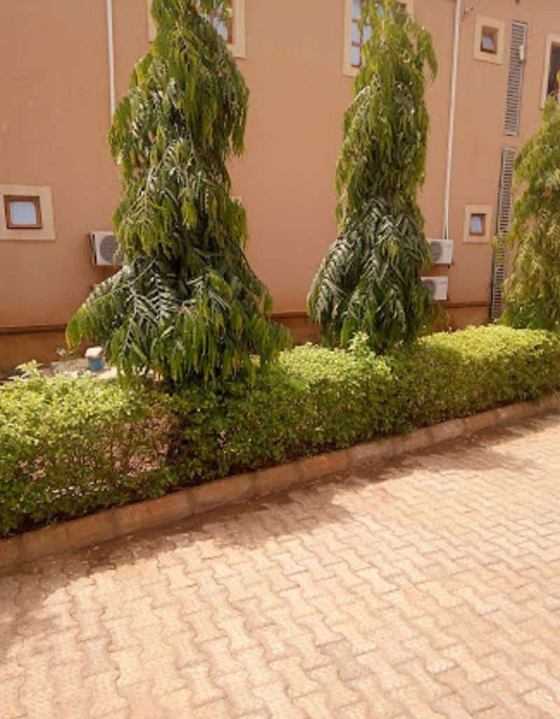 Suite(deposit Of 11,000 Which Will Be Refunded Upon Check Out) Room In ...